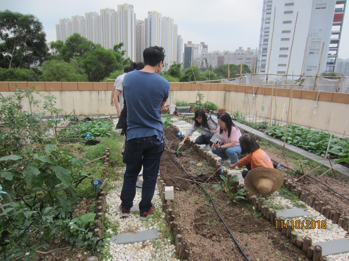 Landscape Management – Campus Development and Management Office