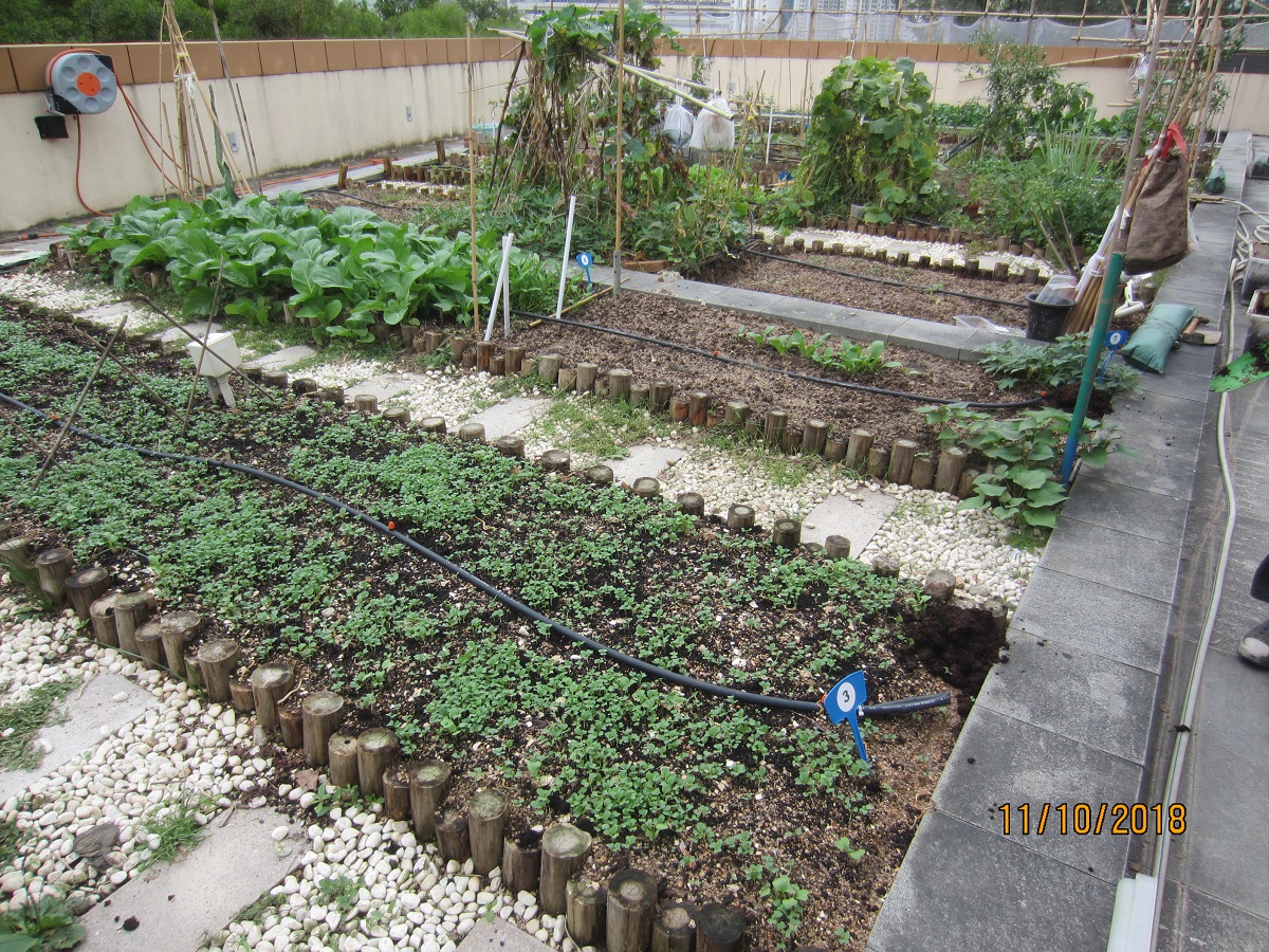 Landscape Management – Campus Development and Management Office